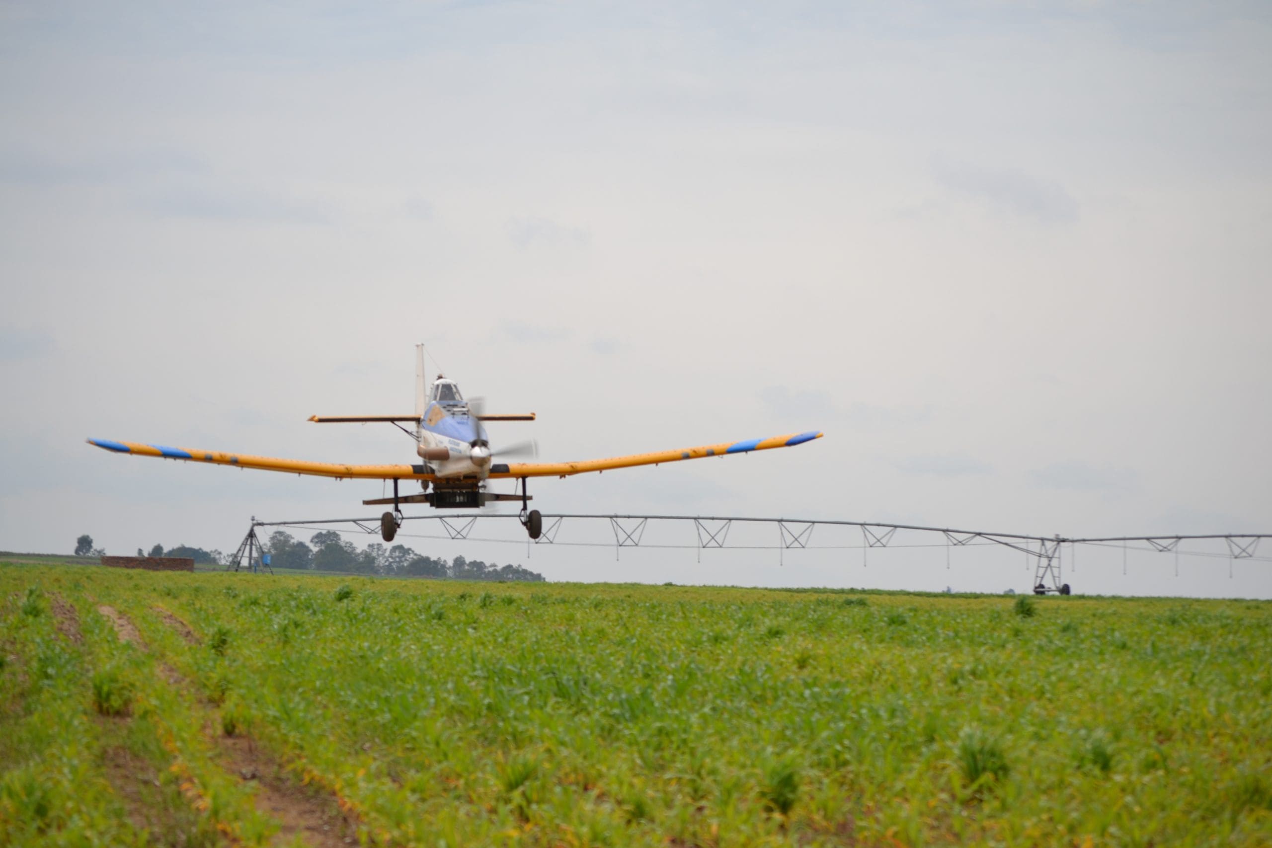 Home | Platorand Lugbespuiting | Platorand Aviation Services