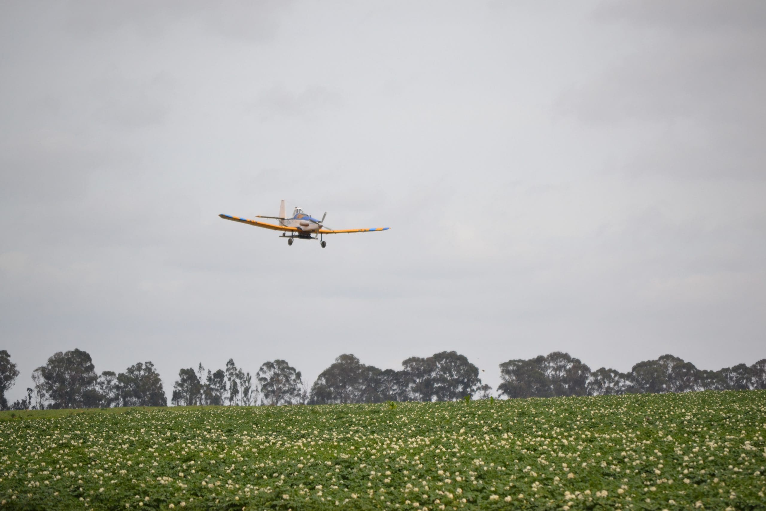 Home | Platorand Lugbespuiting | Platorand Aviation Services